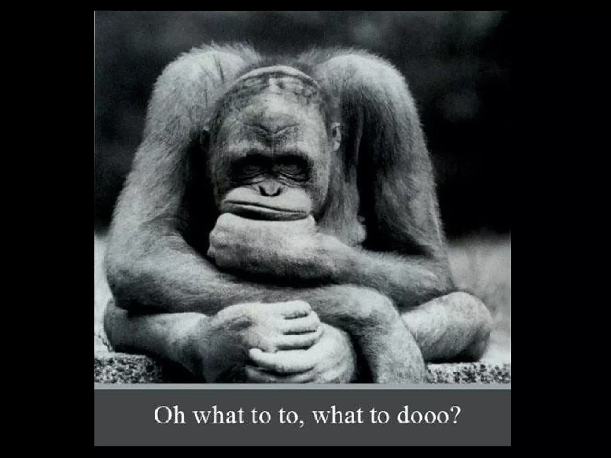 Redbox vs Blockbuster | PPT