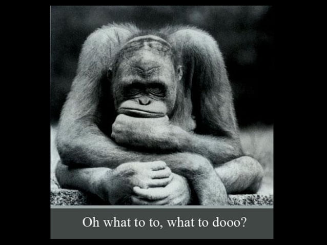 Redbox vs Blockbuster | PPT