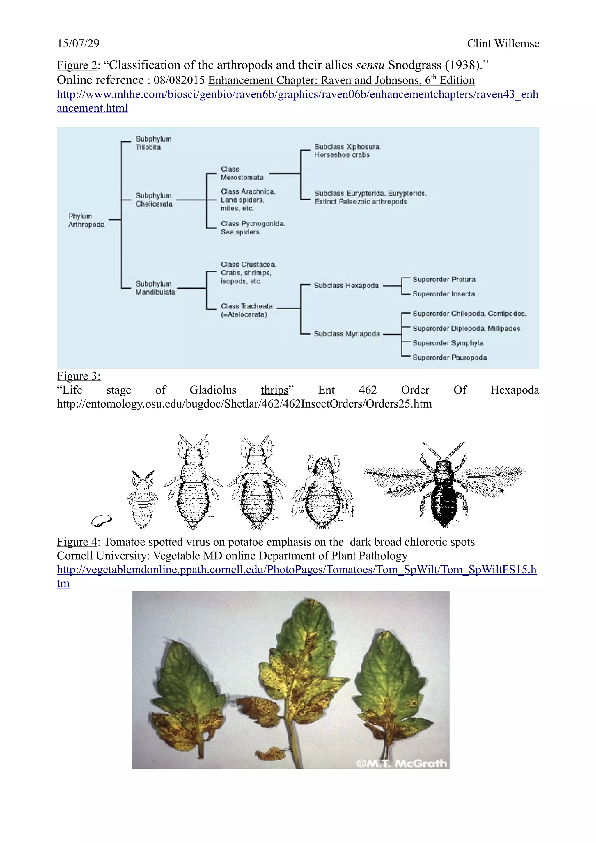 Final p pa insect | ODT