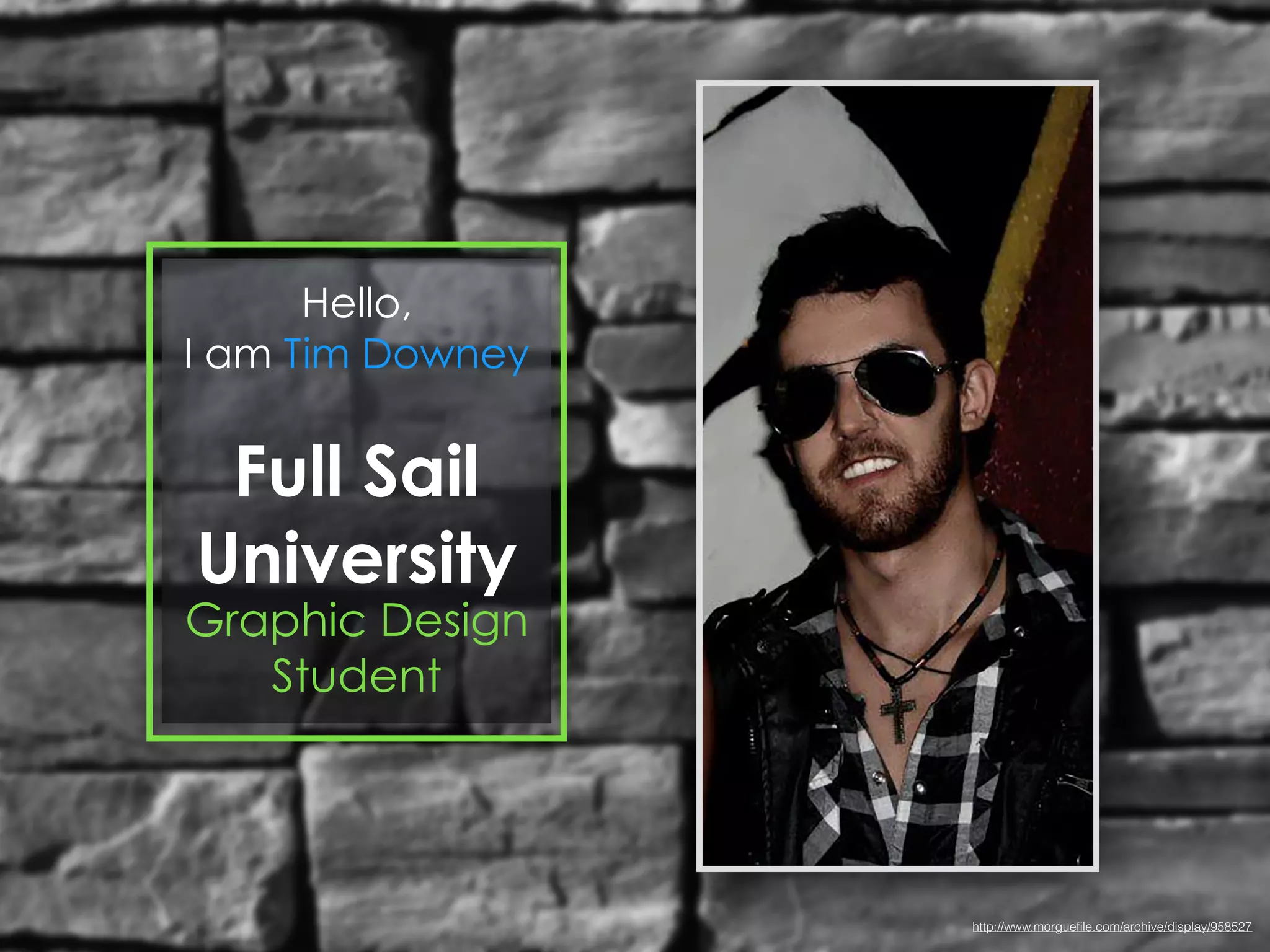 Timothy Downey - Professional Persona Project | PDF