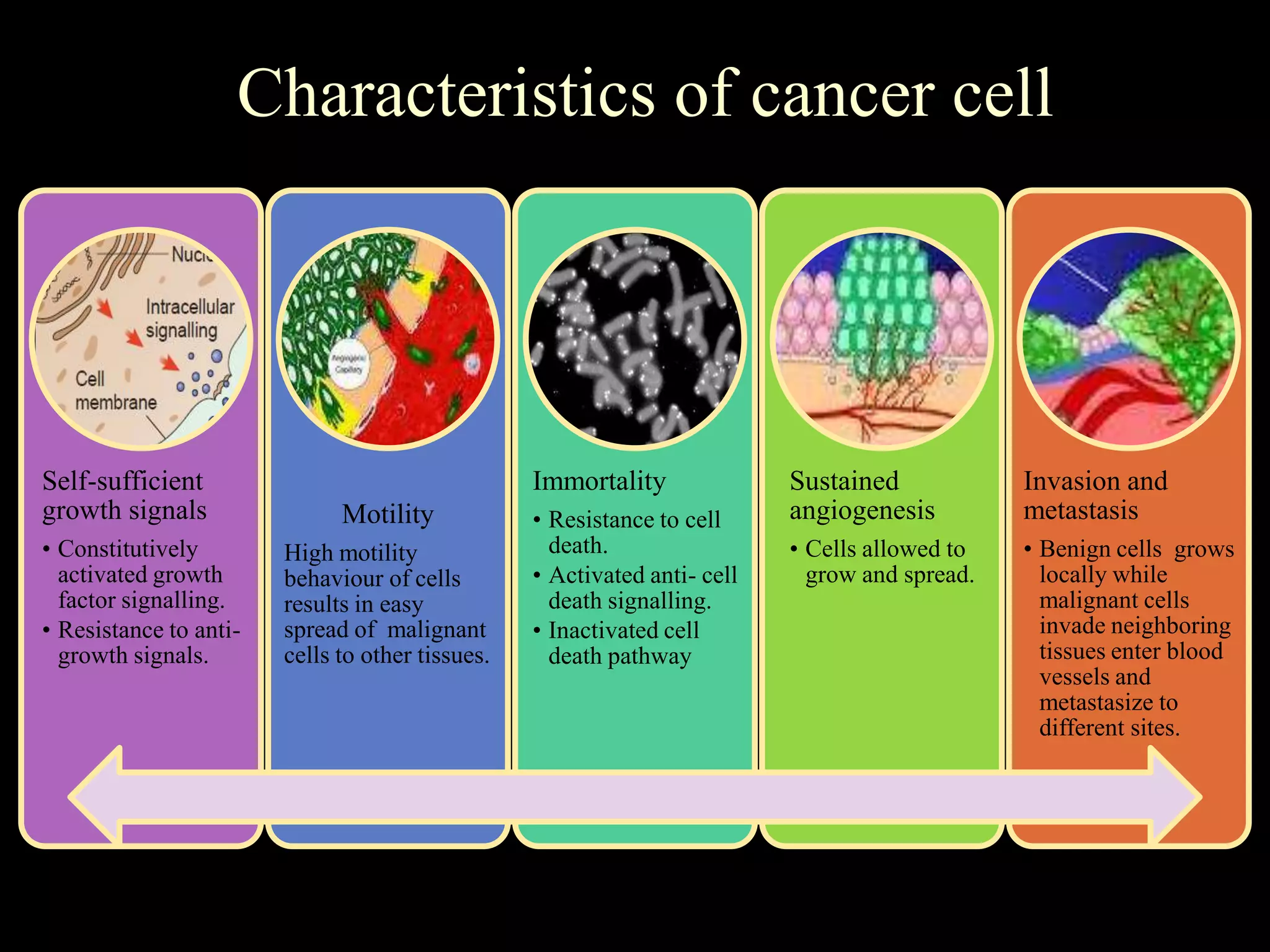 CANCER HEALTH EDUCATION | PPTX
