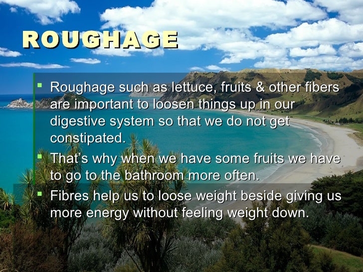 Roughage Helps In