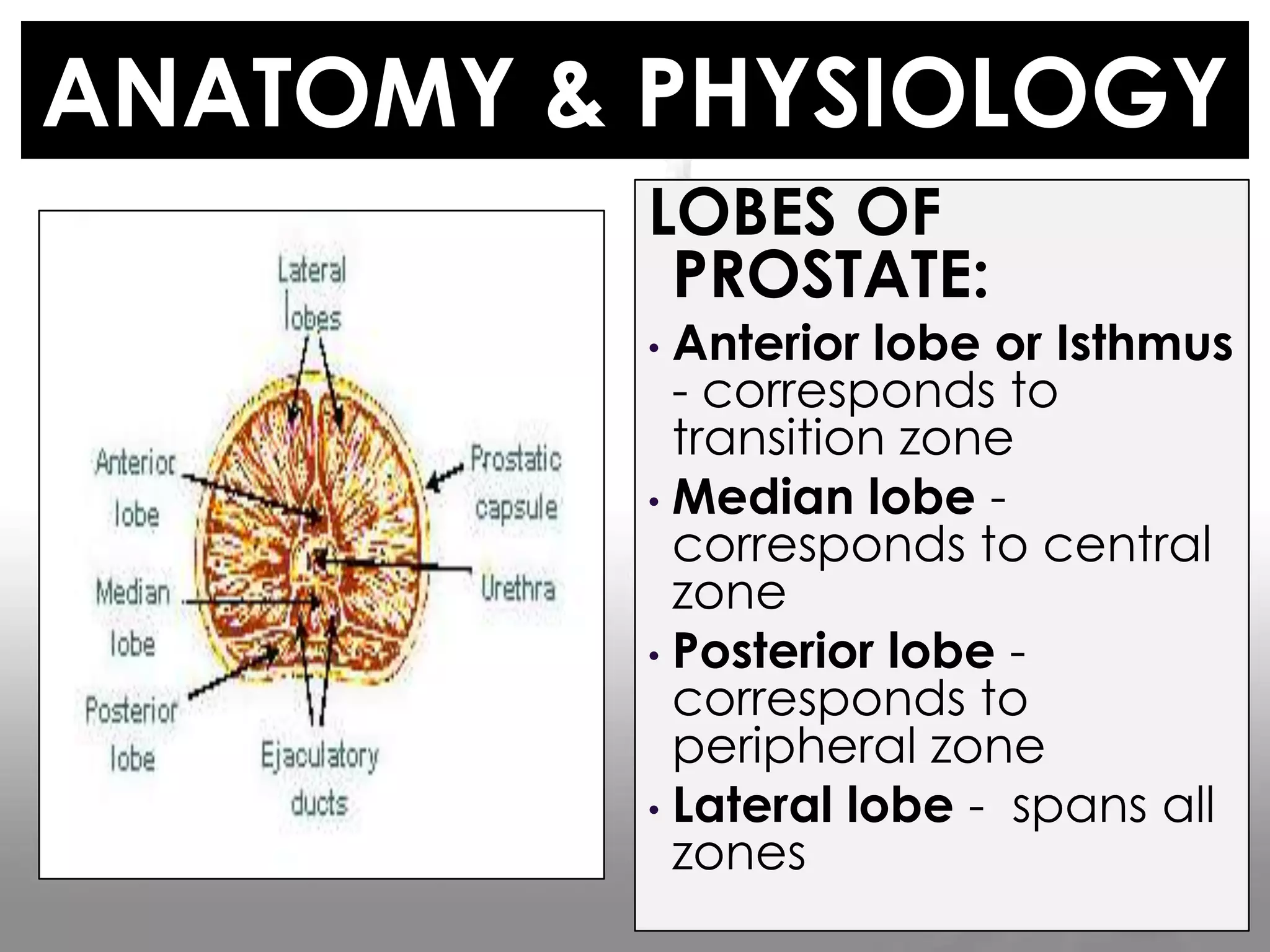 Radiation Therapy - Prostate Cancer | PPTX