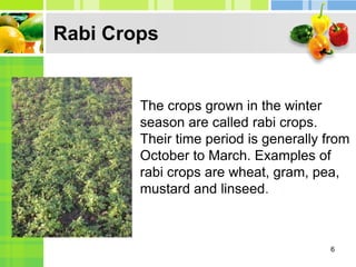 food production distribution & storage in india | PPTX