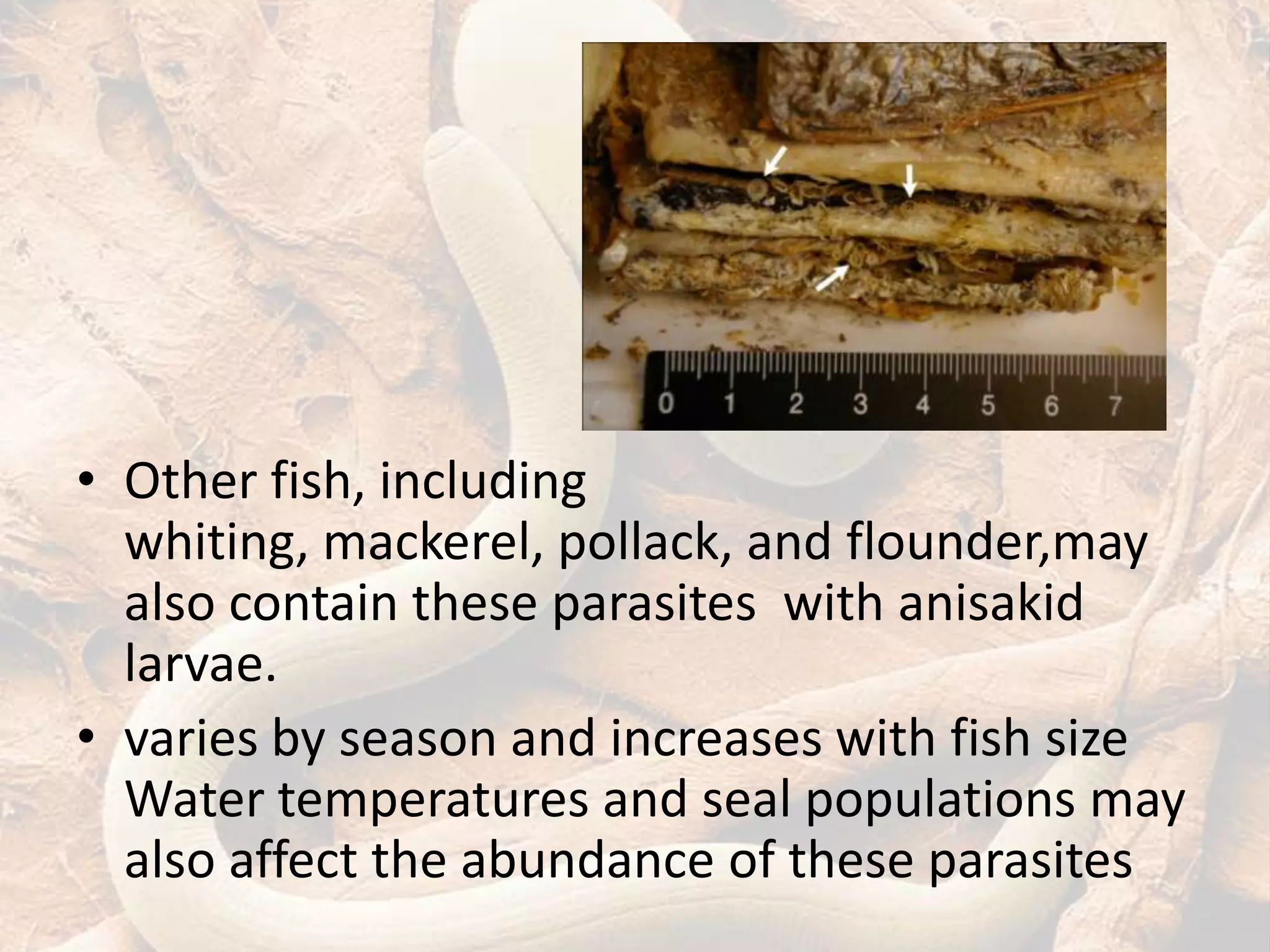 Food Borne animal parasites, viruses and food borne biohazards | PPTX