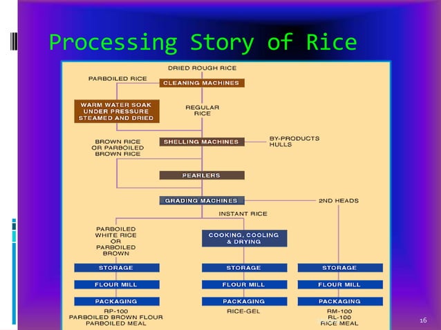 Rice Mill | PPT