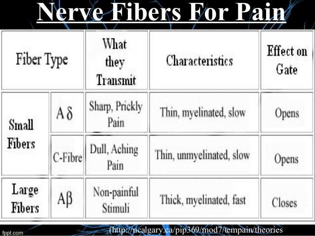 The Psychology of Pain: Understanding and Management in Nursing Care