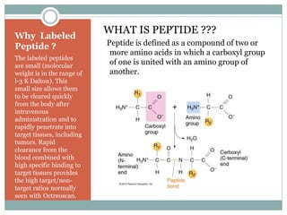 PEPTIDE LABELLING & GAMMA RAY SPECTROSCOPY | PPTX