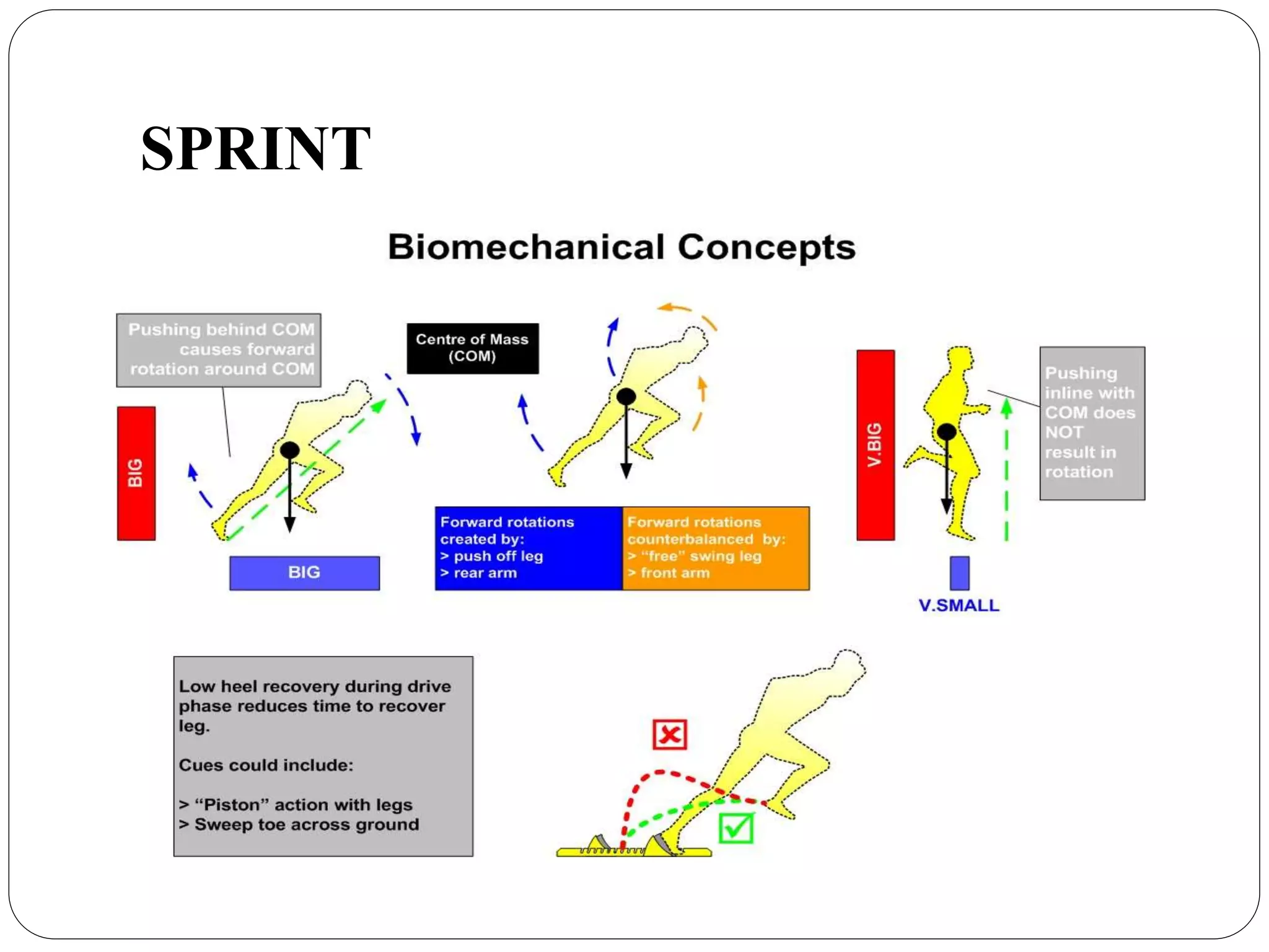 BIO-MECHANICS | PPTX