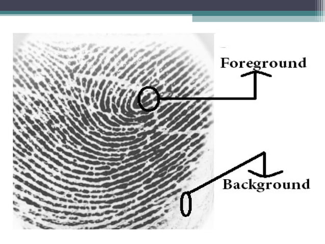 Fingerprint Images Enhancement ppt | PPT | Photo Editing Software ...