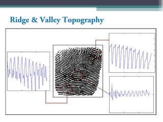 Fingerprint Images Enhancement ppt | PPT