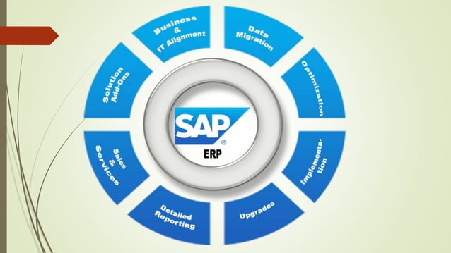 SAP Basic Introduction | PPTX | Computing | Technology & Computing