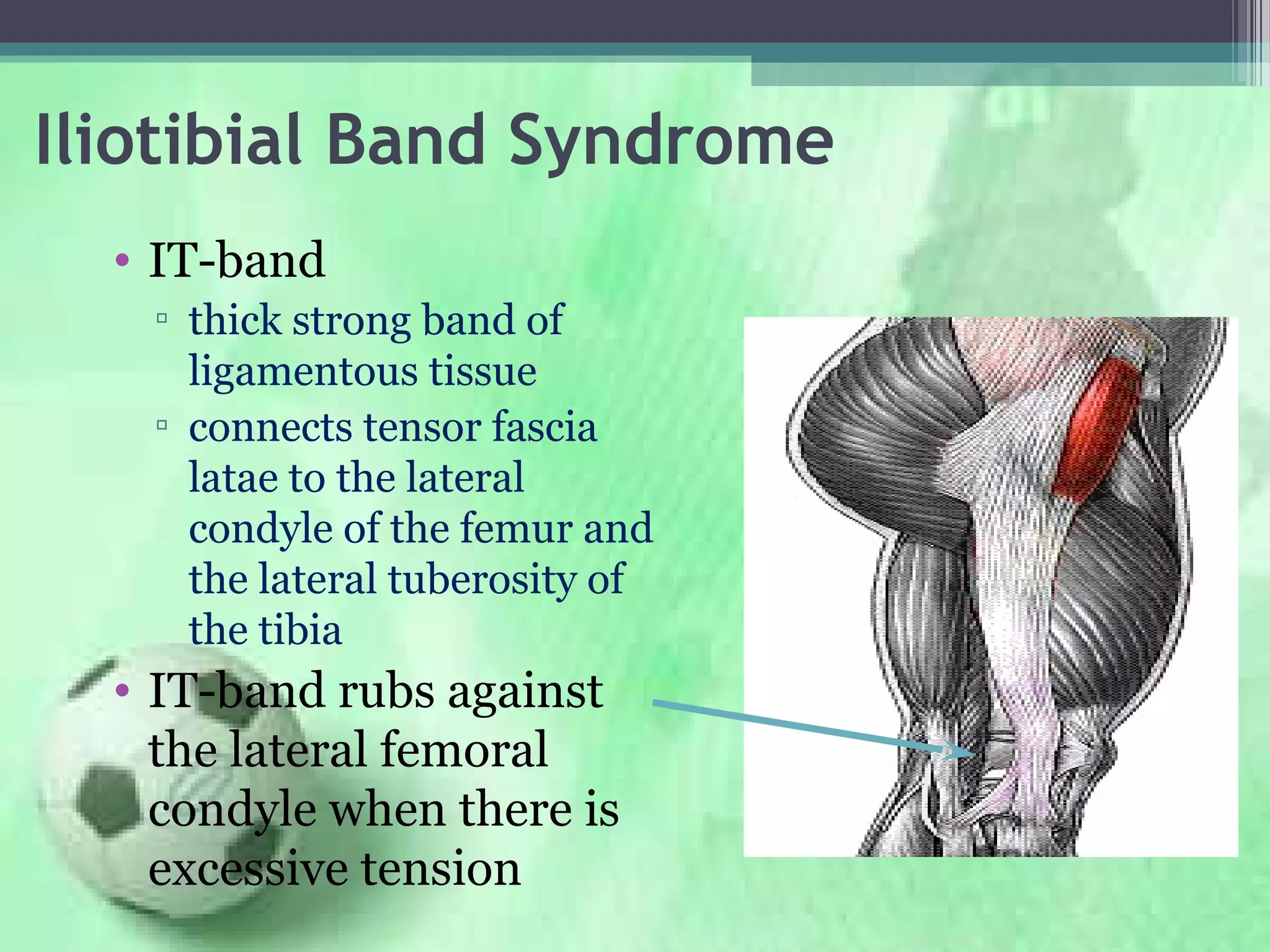 Knee Injuries In Detail | PPT