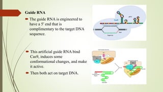 crispr cas 9 | PPTX