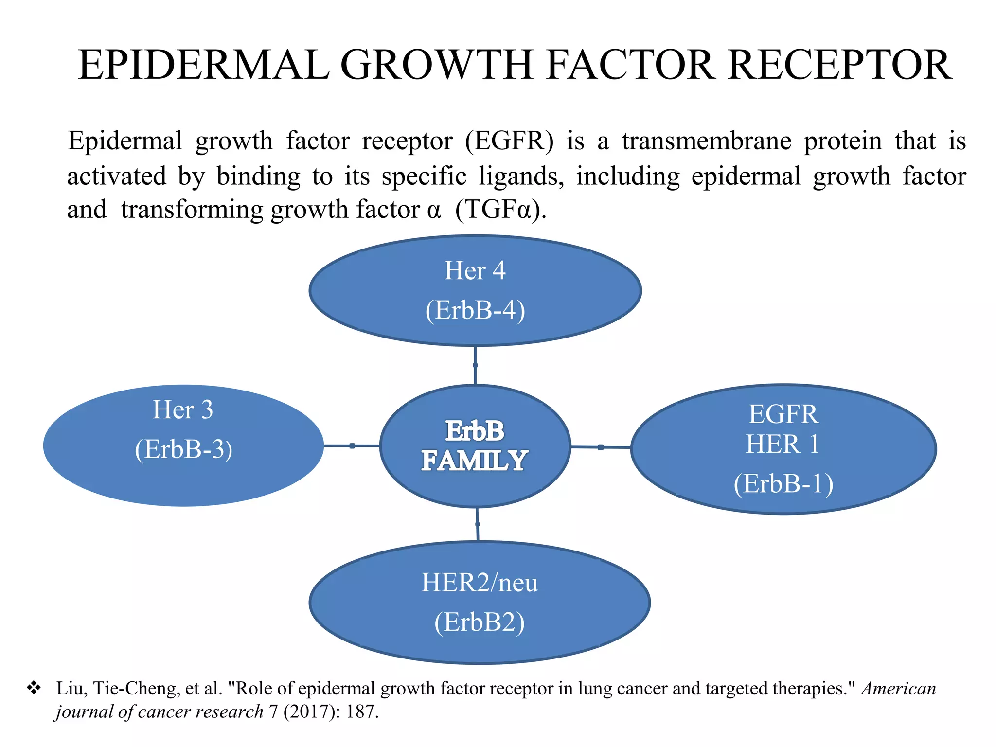 Role of EGFR in lung cancer:Resistance and Treatment | PPTX