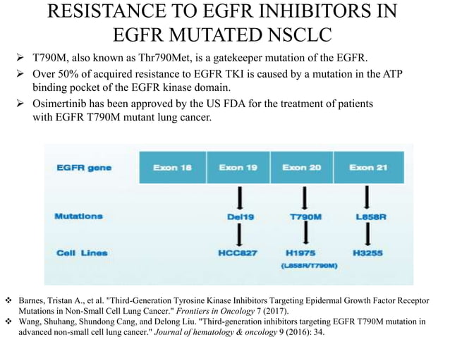 Role of EGFR in lung cancer:Resistance and Treatment | PPTX