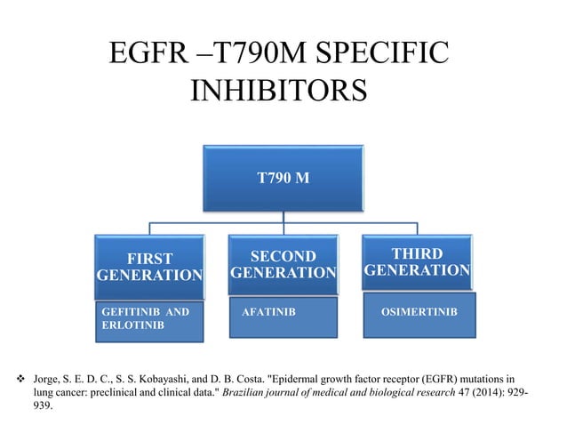 Role of EGFR in lung cancer:Resistance and Treatment | PPTX