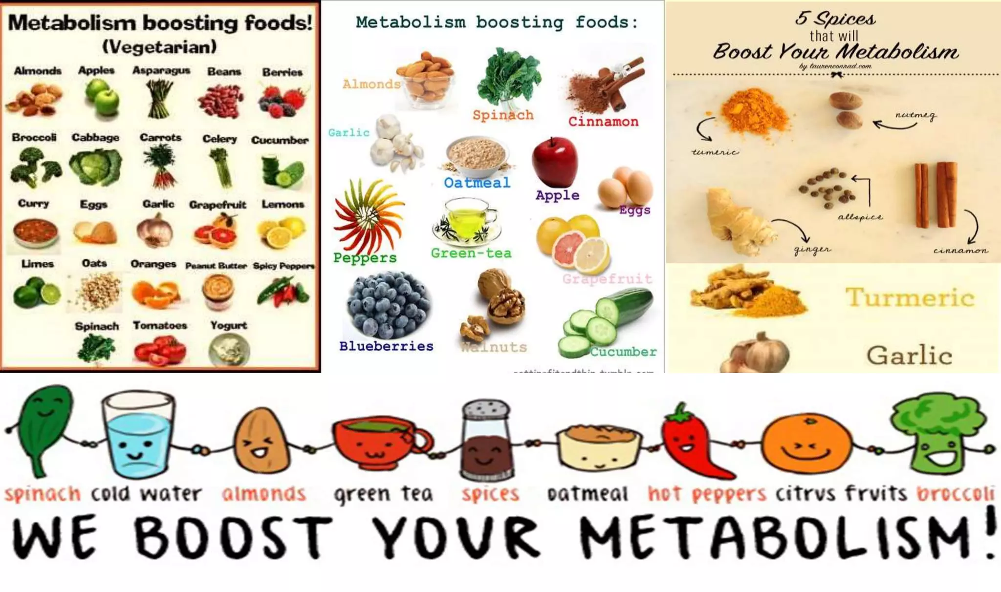 spices as metabolic boosters | PPTX