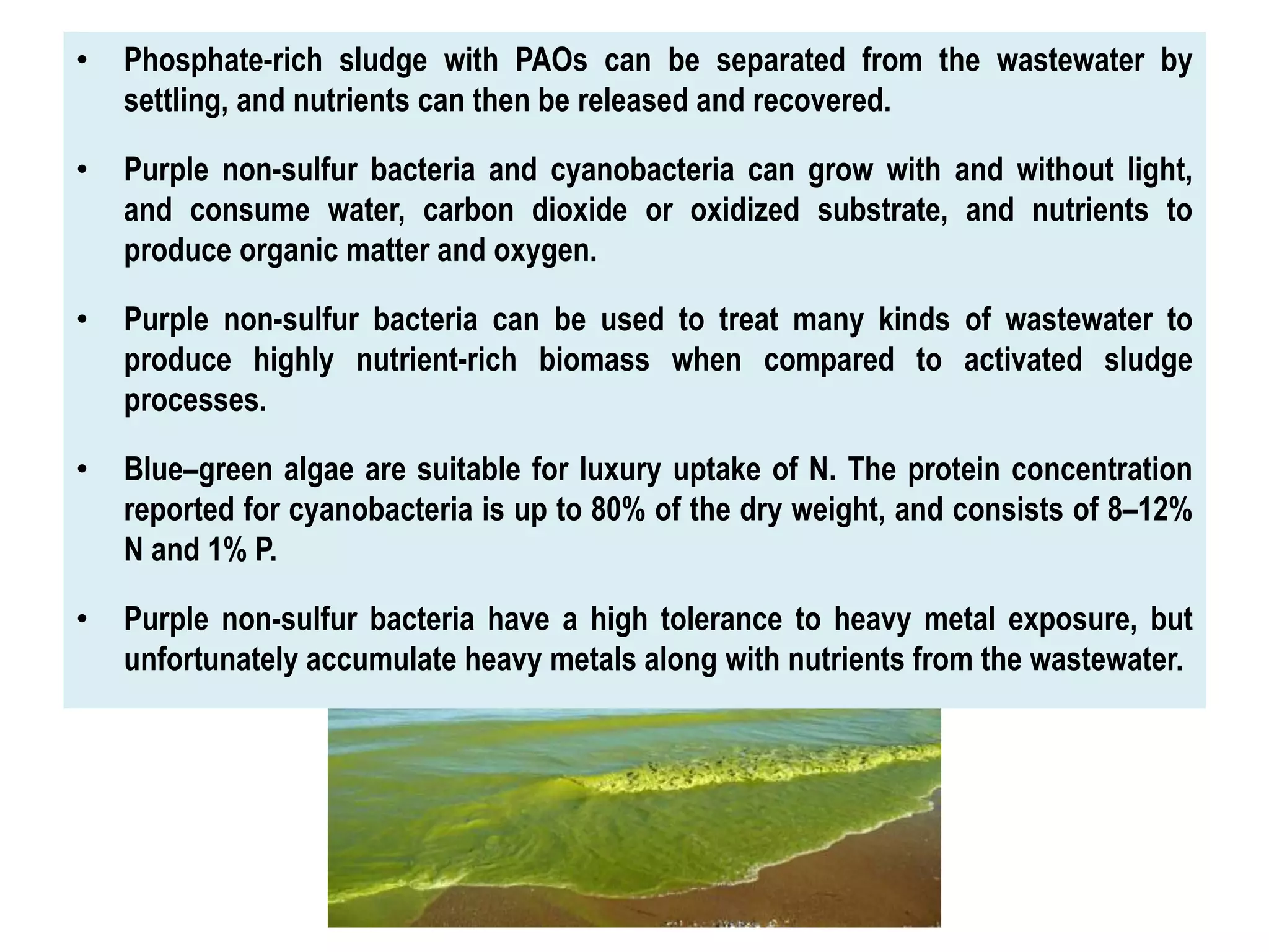 NUTRIENT RECOVERY FROM WASTES | PPT