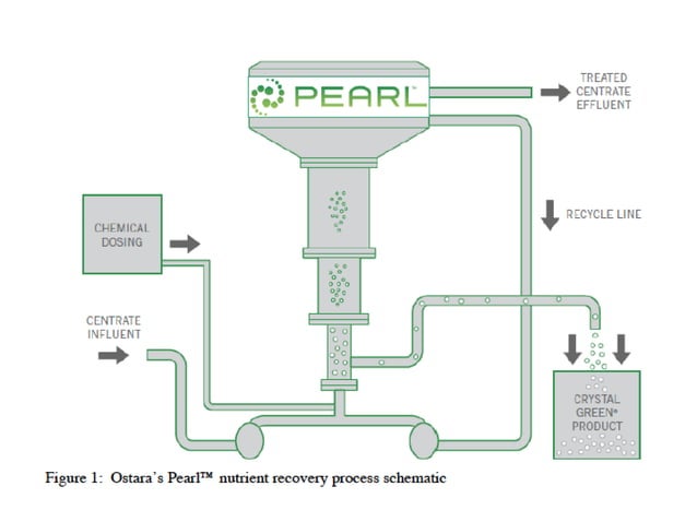 NUTRIENT RECOVERY FROM WASTES | PPT