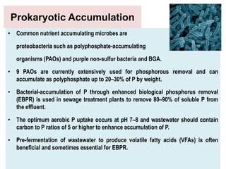 NUTRIENT RECOVERY FROM WASTES | PPTX