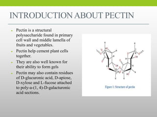 Final Bachelors Project ppt | PPTX