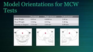 Drop Test Simulation of a Head Model | PPTX