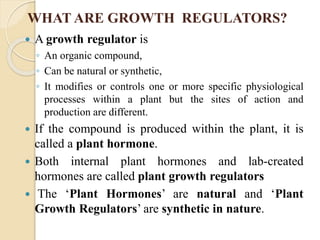 Use of growth regulators in seed production of Vegetable | PPTX