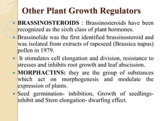 Use of growth regulators in seed production of Vegetable | PPTX