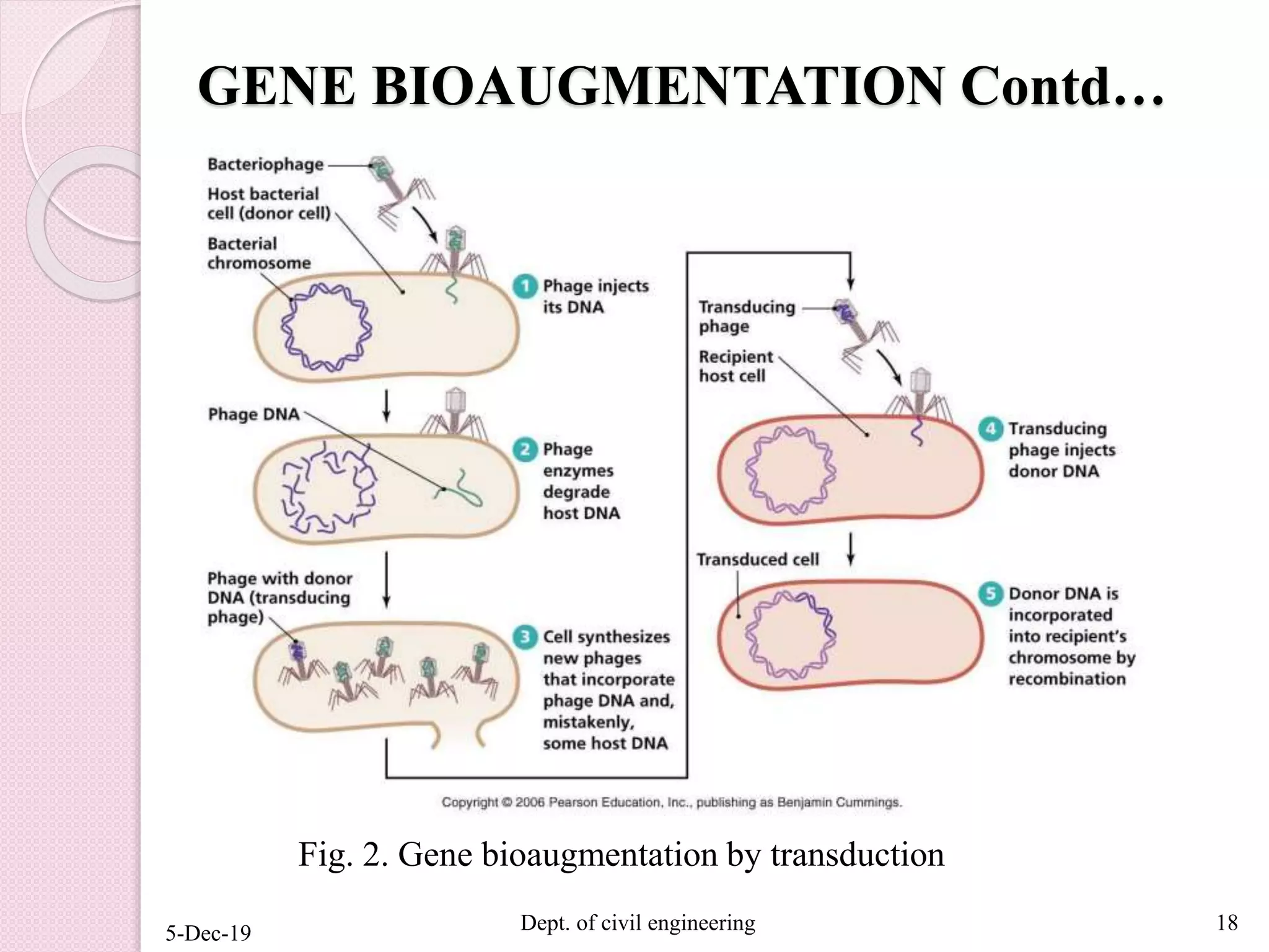 bioaugmentation as remediation technology | PPTX