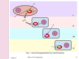 bioaugmentation as remediation technology | PPTX