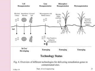 bioaugmentation as remediation technology | PPTX