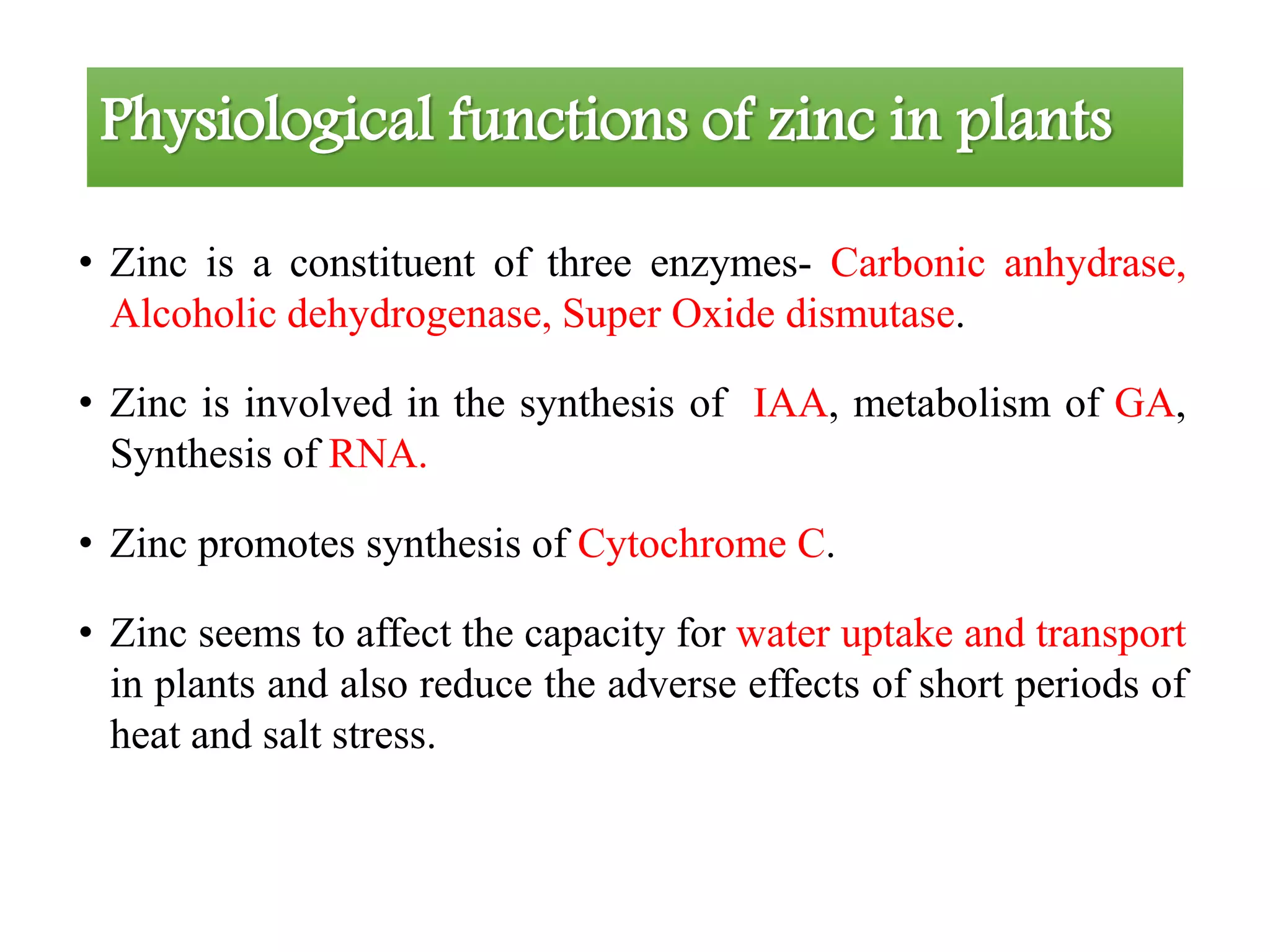 Mechanism of Zinc solubilization by Zinc Solubilizing bacterias | PPTX