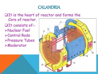Nuclear Power Plant | PPT