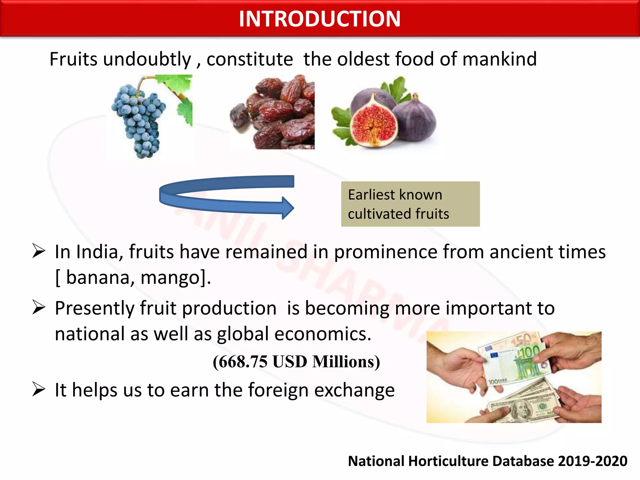 Biotechnological interventions for fruit crops improvement | PPTX