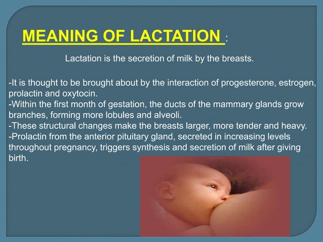 LACTATION MANAGEMENT | PPTX