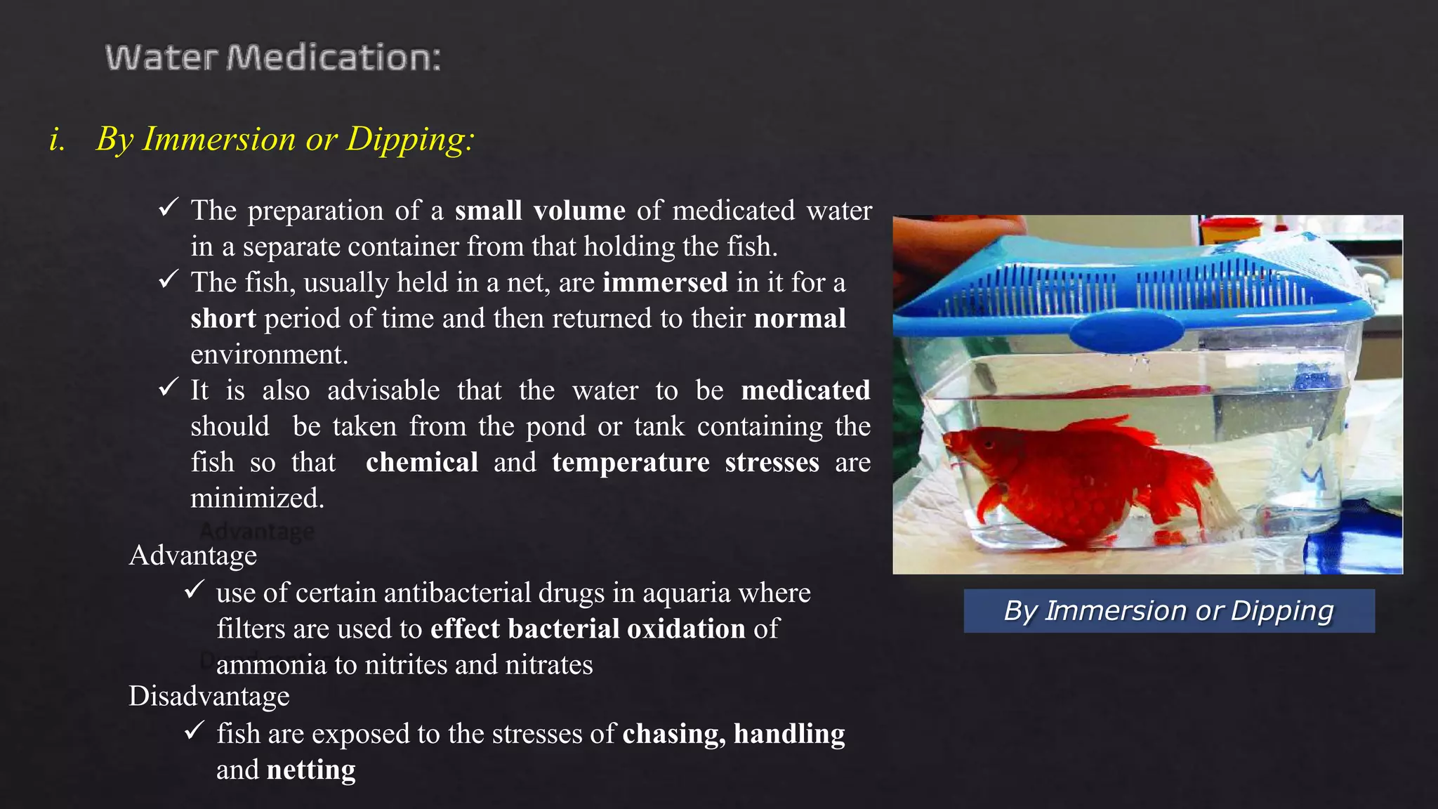 ROUTE OF ADMINISTRATION OF DRUGS AND METHOD OF APPLICATION TO FISH | PPTX