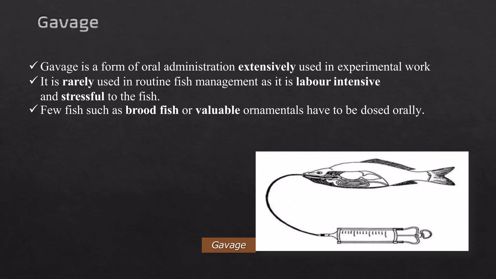 ROUTE OF ADMINISTRATION OF DRUGS AND METHOD OF APPLICATION TO FISH | PPTX
