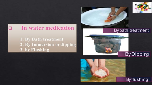 ROUTE OF ADMINISTRATION OF DRUGS AND METHOD OF APPLICATION TO FISH ...