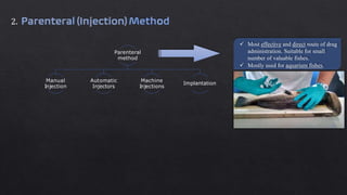 ROUTE OF ADMINISTRATION OF DRUGS AND METHOD OF APPLICATION TO FISH | PPTX