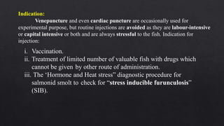 ROUTE OF ADMINISTRATION OF DRUGS AND METHOD OF APPLICATION TO FISH | PPTX