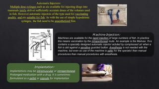 ROUTE OF ADMINISTRATION OF DRUGS AND METHOD OF APPLICATION TO FISH | PPTX
