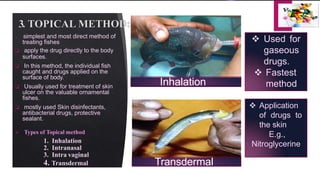 ROUTE OF ADMINISTRATION OF DRUGS AND METHOD OF APPLICATION TO FISH | PPTX
