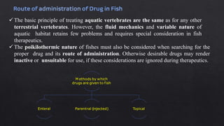 ROUTE OF ADMINISTRATION OF DRUGS AND METHOD OF APPLICATION TO FISH | PPTX
