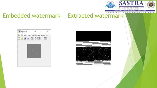 Final PPT.pptx (1).pptx