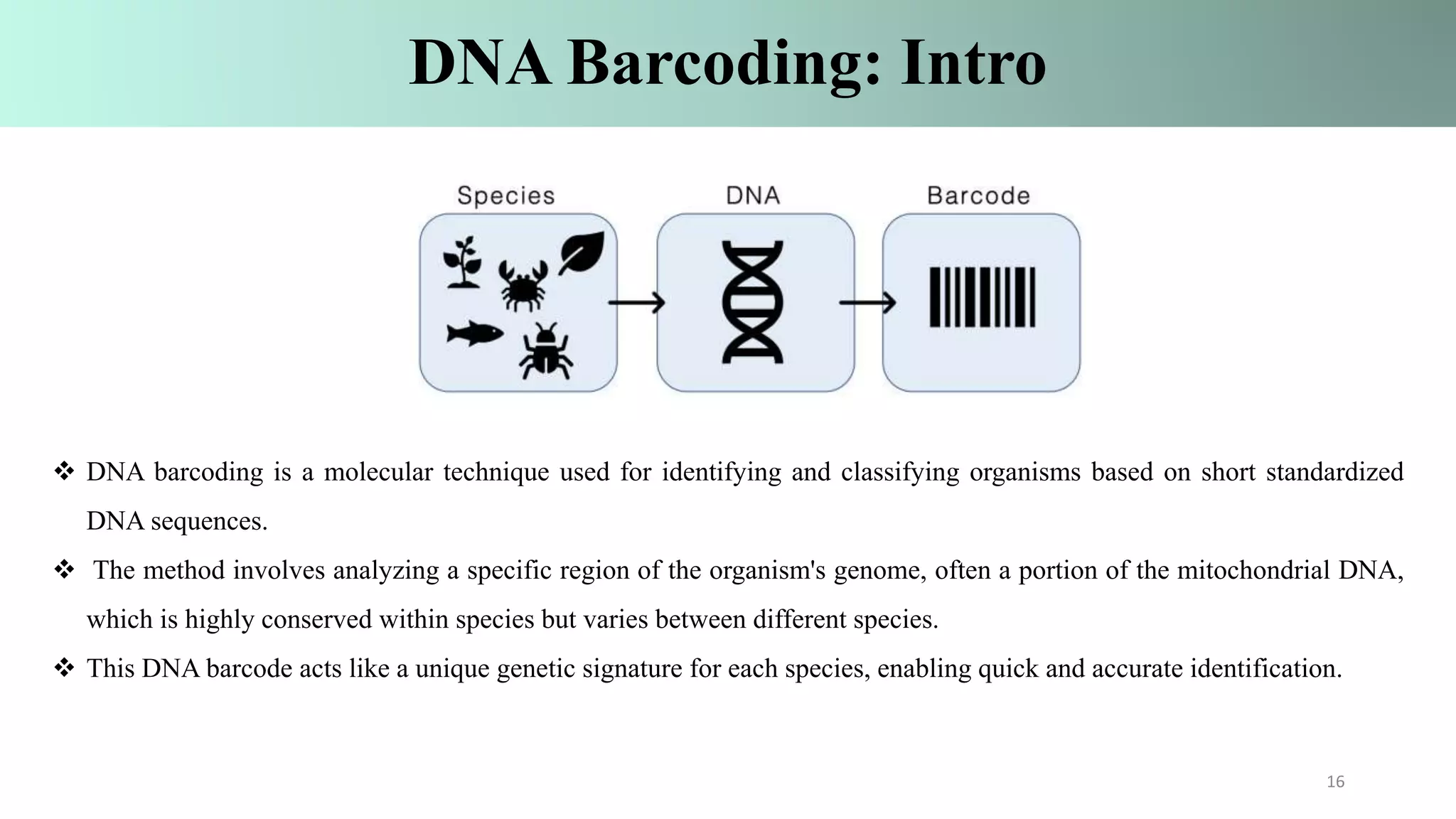 Conservation Biotechnology: DNA and Tissue Bank, DNA Barcoding , DNA fingerprint | PPT