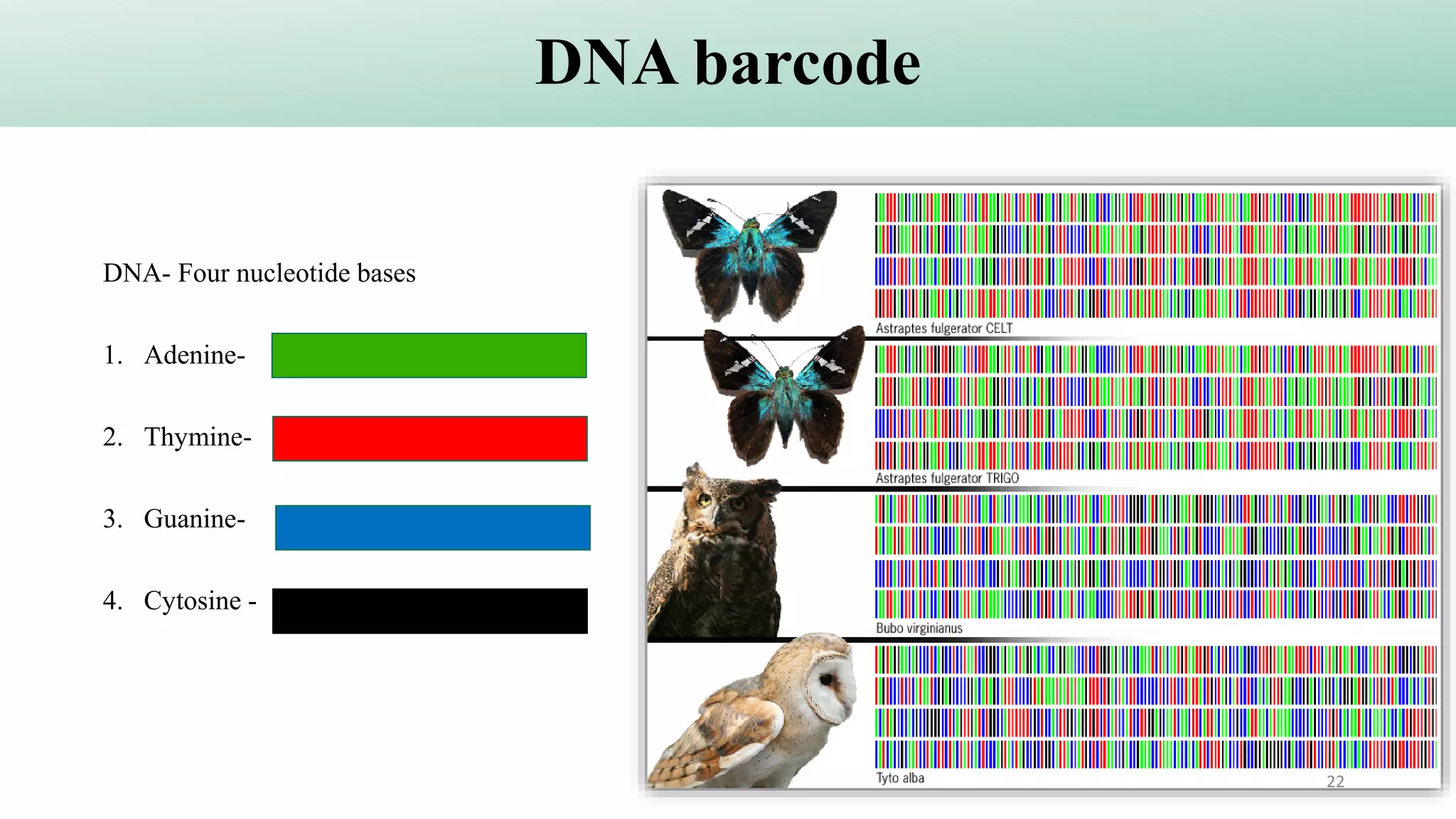 Conservation Biotechnology: DNA and Tissue Bank, DNA Barcoding , DNA fingerprint | PPT