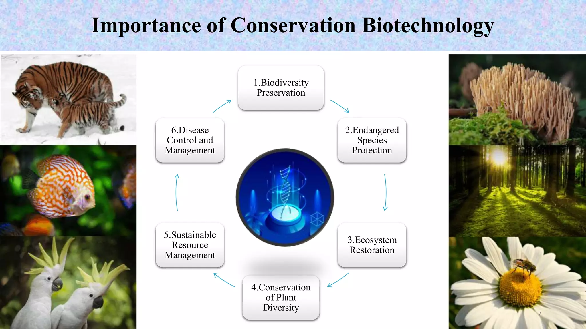 Conservation Biotechnology: DNA and Tissue Bank, DNA Barcoding , DNA fingerprint | PPT
