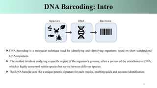 Conservation Biotechnology: DNA and Tissue Bank, DNA Barcoding , DNA fingerprint | PPT