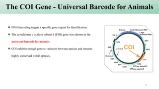 Conservation Biotechnology: DNA and Tissue Bank, DNA Barcoding , DNA ...